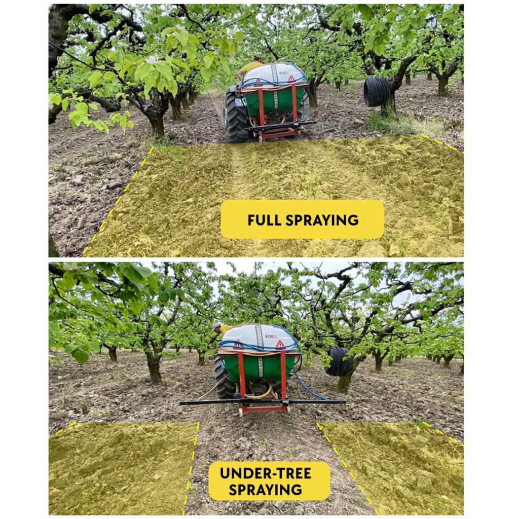 Kadıoğlu NANO B Garden Type Weed Spraying Device (With Anti-Drip ...